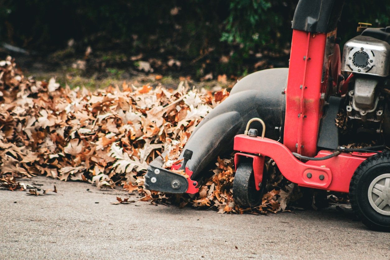 Texas DR® Leaf Vacuum Lawyer | TX Recall Lawsuit